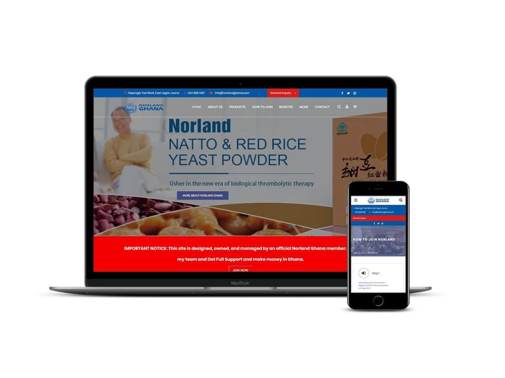 Norland Managed Services Logo